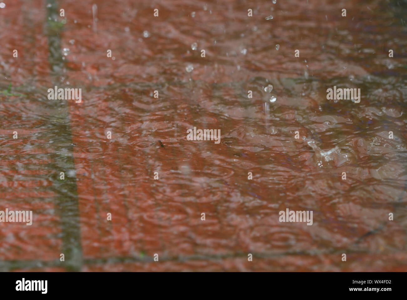 outdoor rain water fall from sky Stock Photo - Alamy