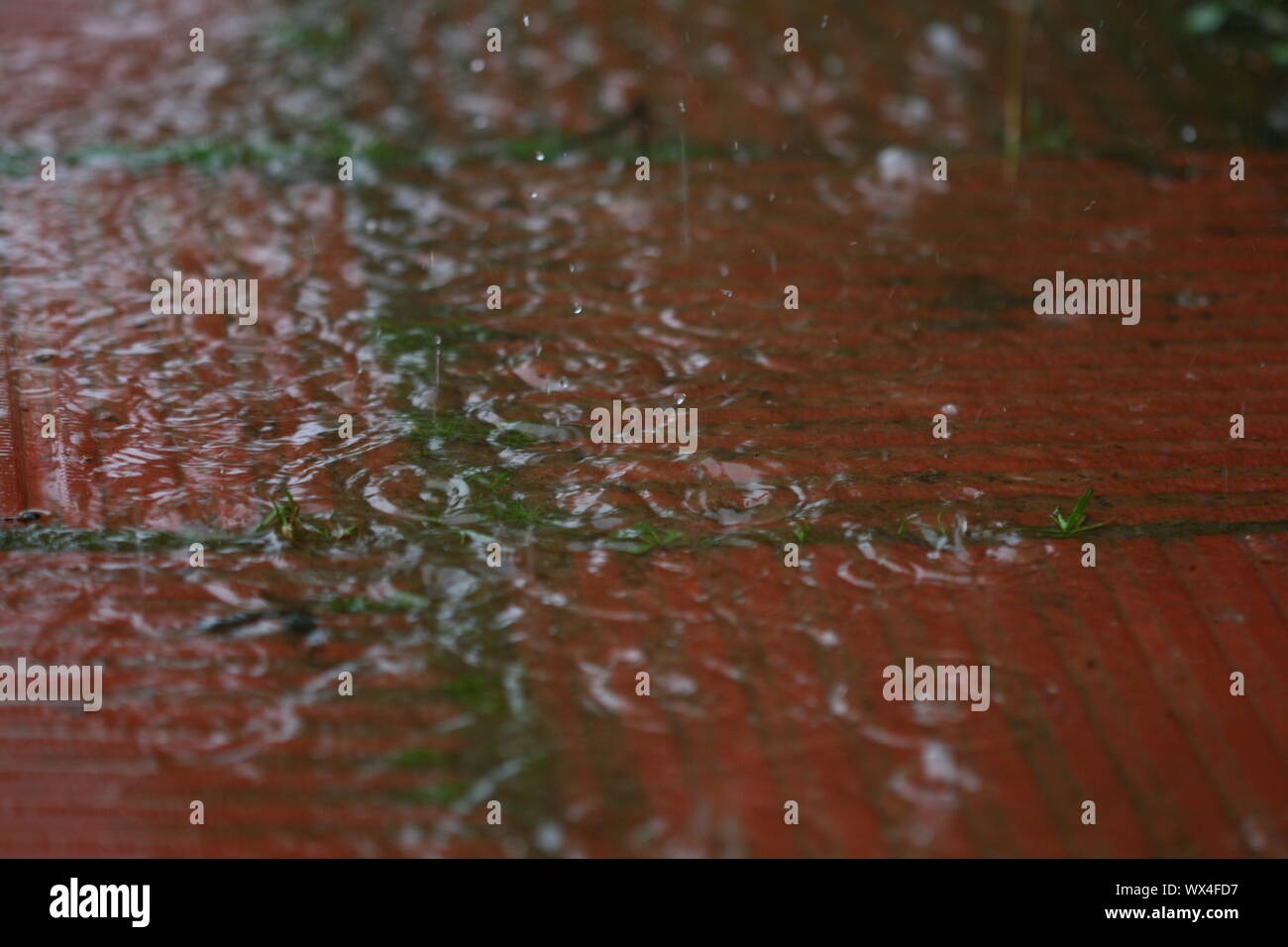 outdoor rain water fall from sky Stock Photo - Alamy