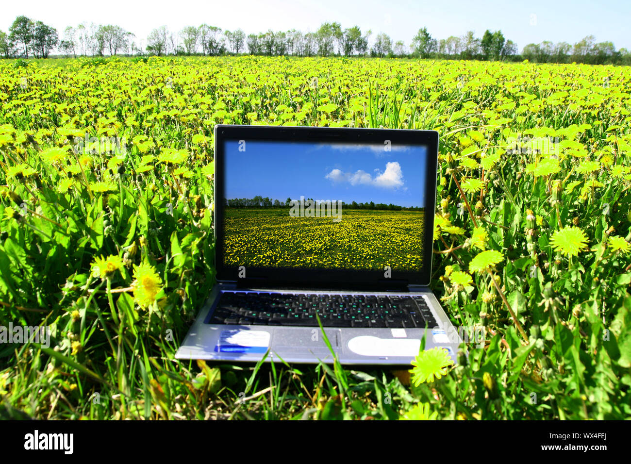 creative business laptop nature work Stock Photo - Alamy