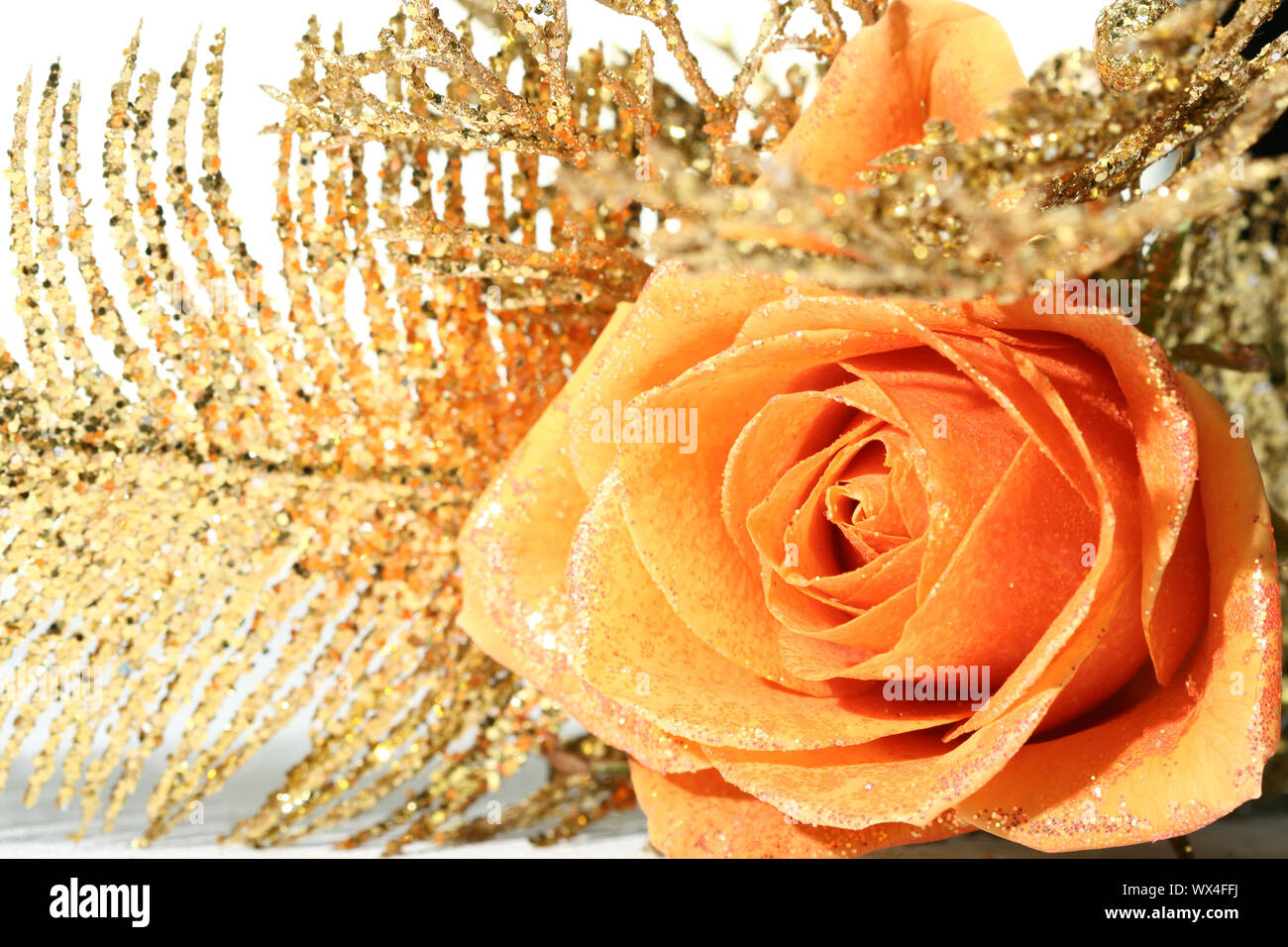 Rose gold foliage hi-res stock photography and images - Alamy