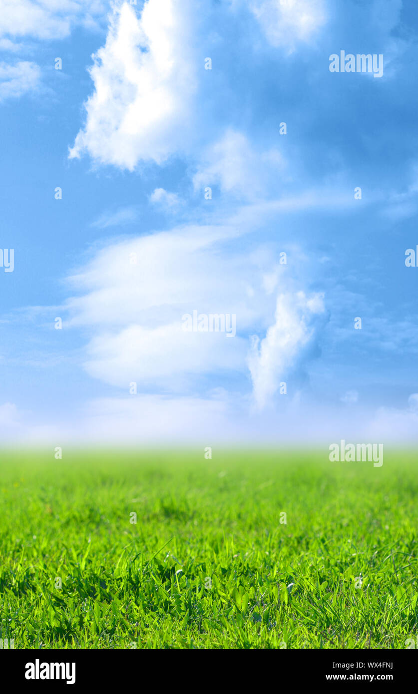 sky grass field nature background Stock Photo - Alamy