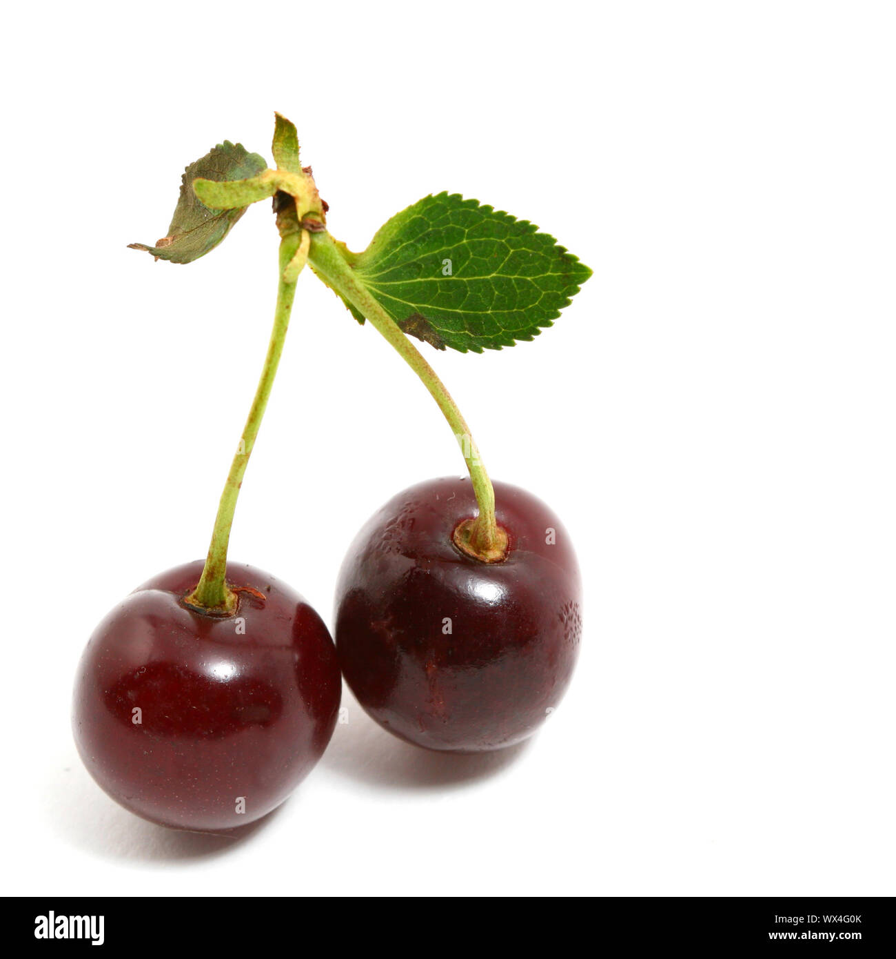 sweet cherry isolated on white background Stock Photo - Alamy
