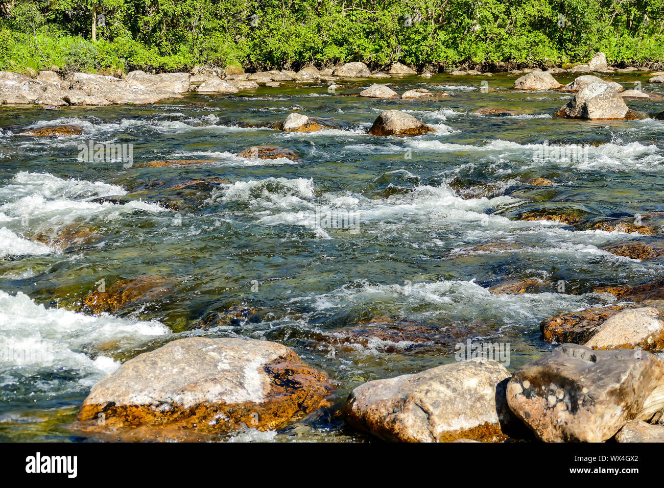 Sweden Taiga Forest High Resolution Stock Photography and Images - Alamy