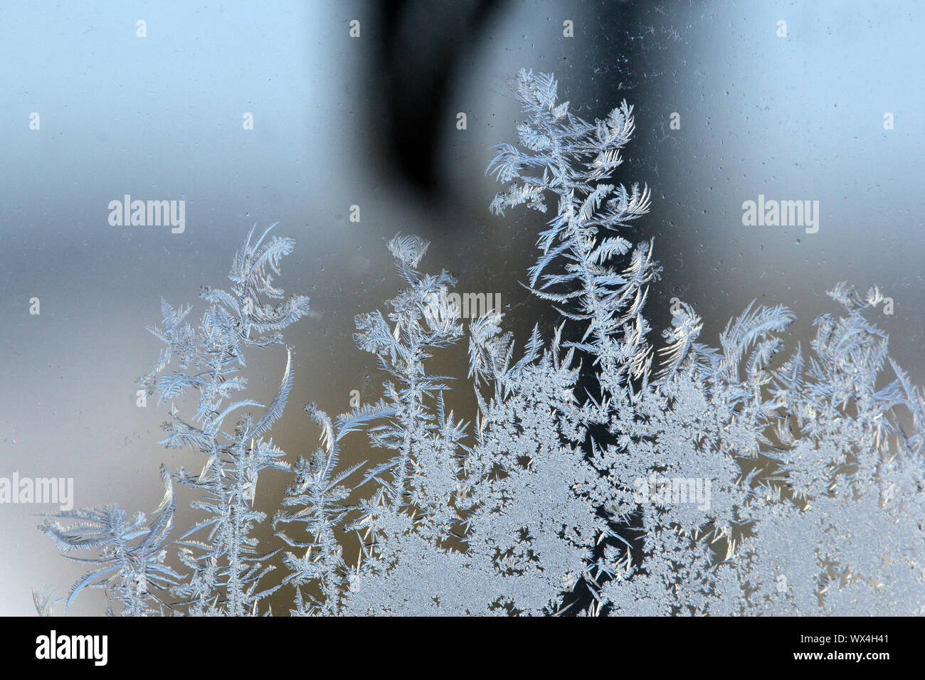 ice at the window Stock Photo - Alamy