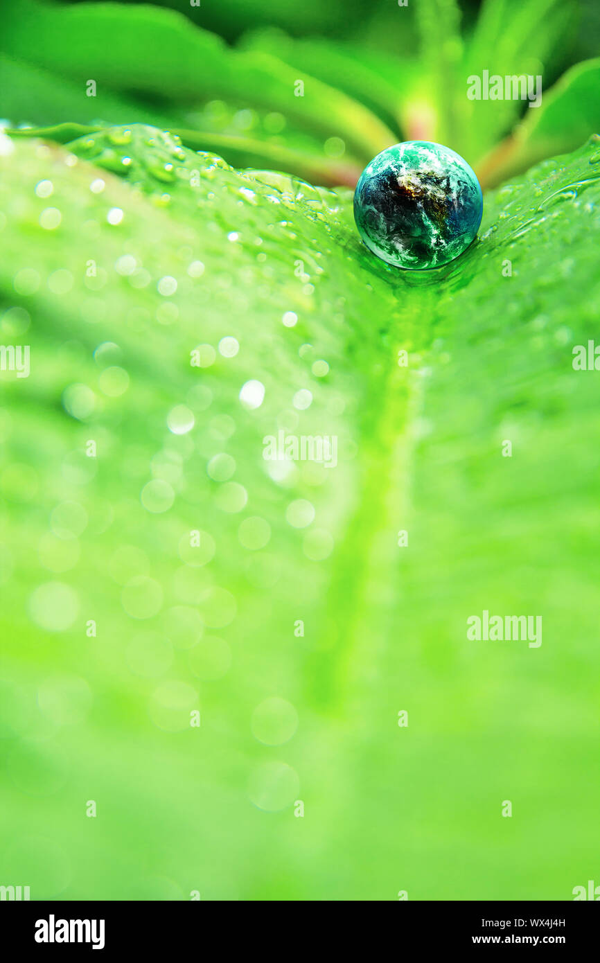 abstract image of small world in nature Stock Photo - Alamy