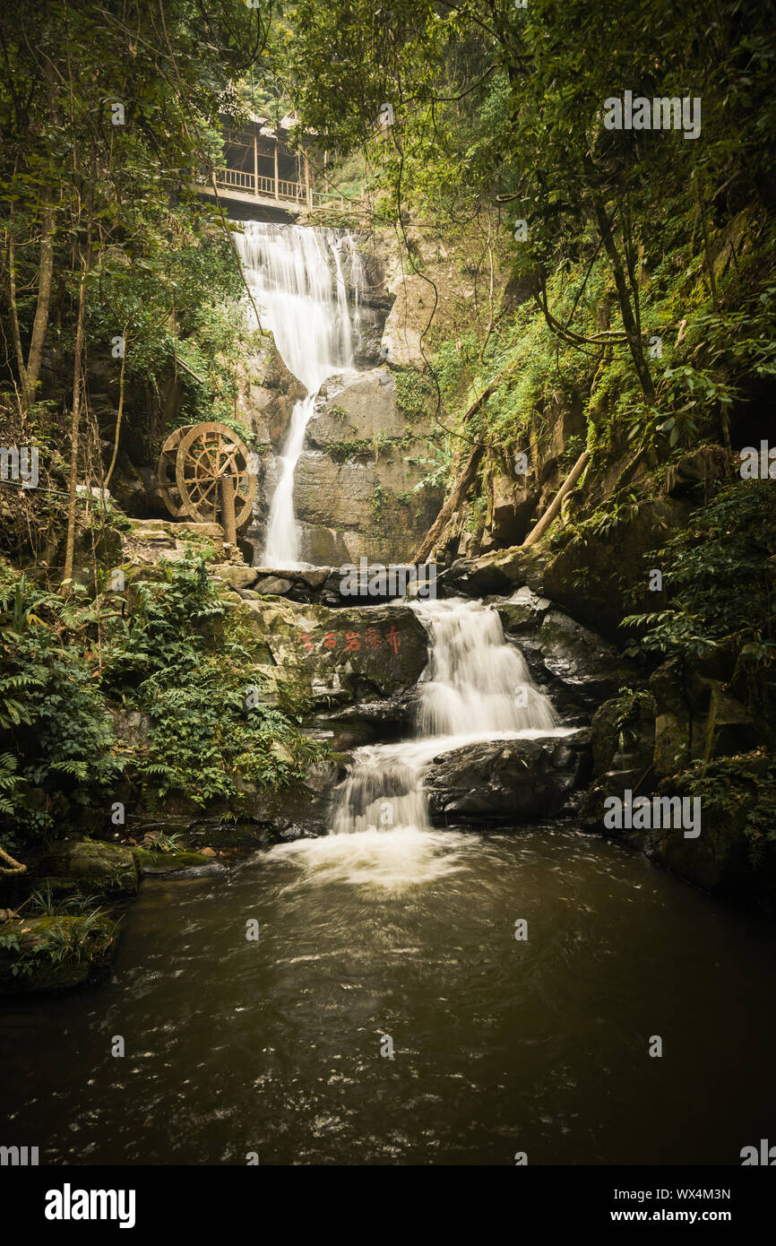 Waterfall red maple tree hi-res stock photography and images - Alamy