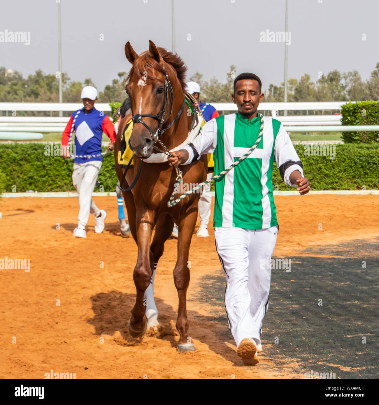 Horse Racing at King Khalid Racetrack, Taif, Saudi Arabia 28/06/2019 Stock Photo - Alamy