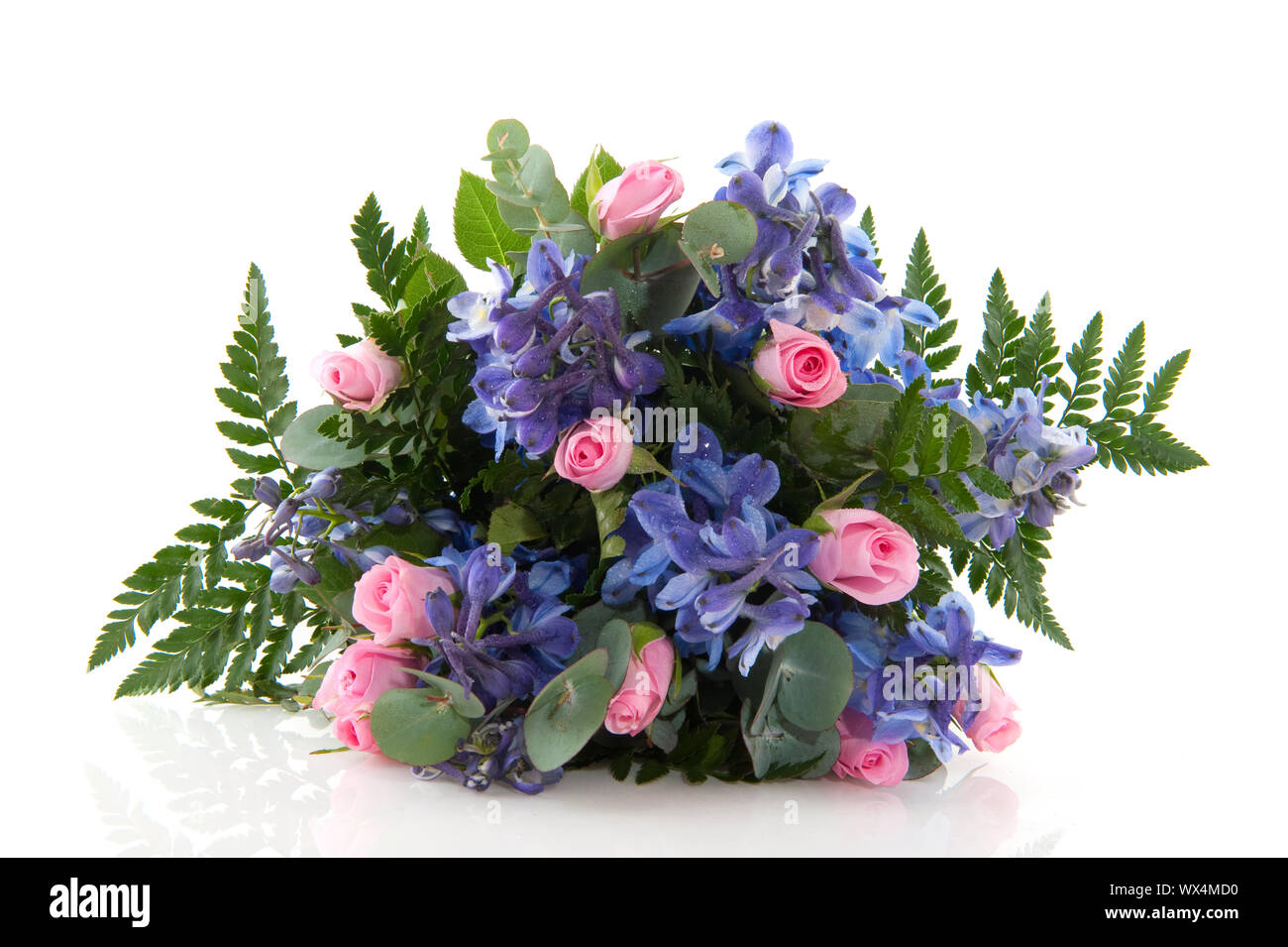 Mixed larkspur hi-res stock photography and images - Alamy