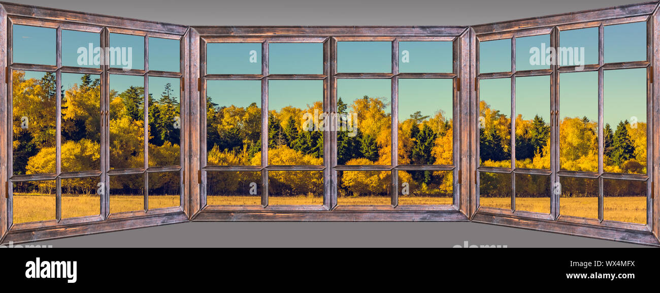 autumn trees leaves multicolored wooden window Stock Photo - Alamy