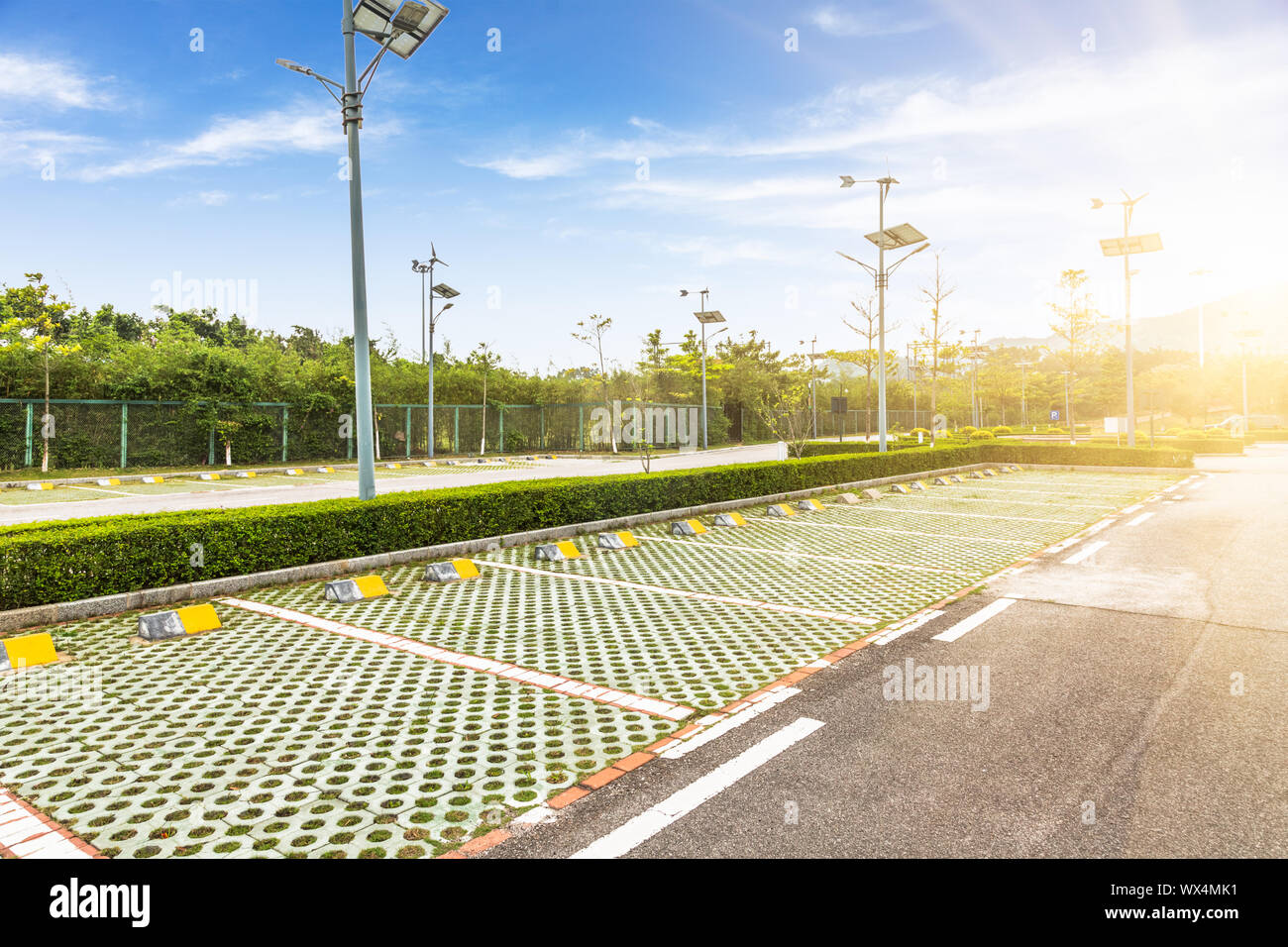Empty parking tree hi-res stock photography and images - Alamy