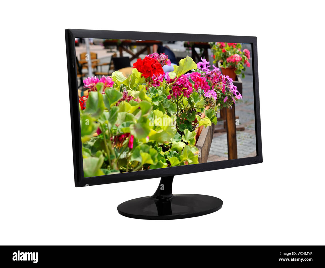 color flower on a computer monitor Stock Photo - Alamy