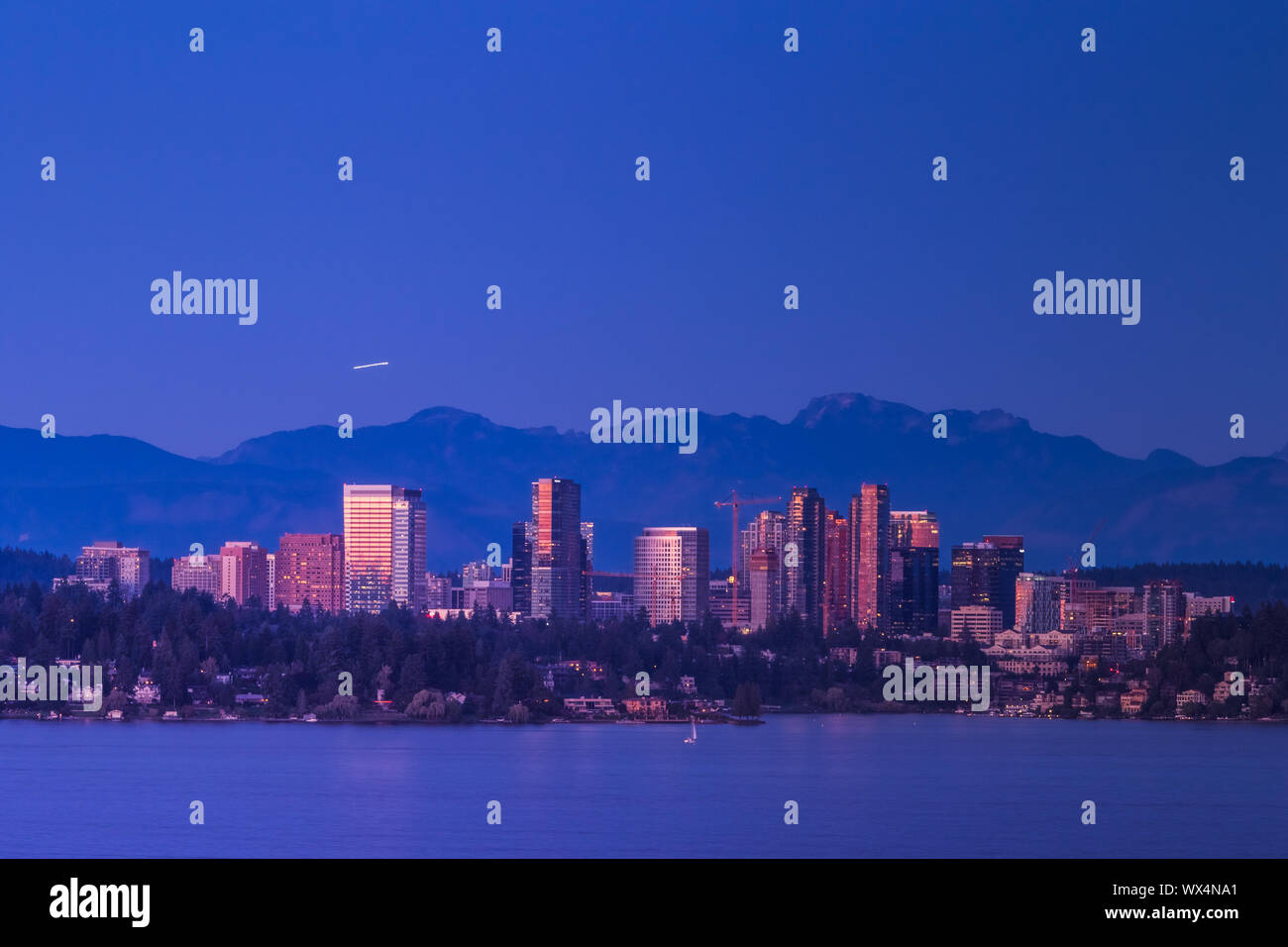 downtown skyline of Bellevue at night Stock Photo - Alamy