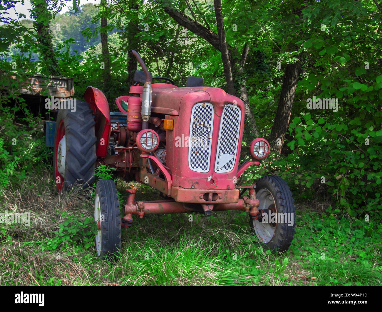 vintage red tractor in excellent condition in a wood Stock Photo - Alamy