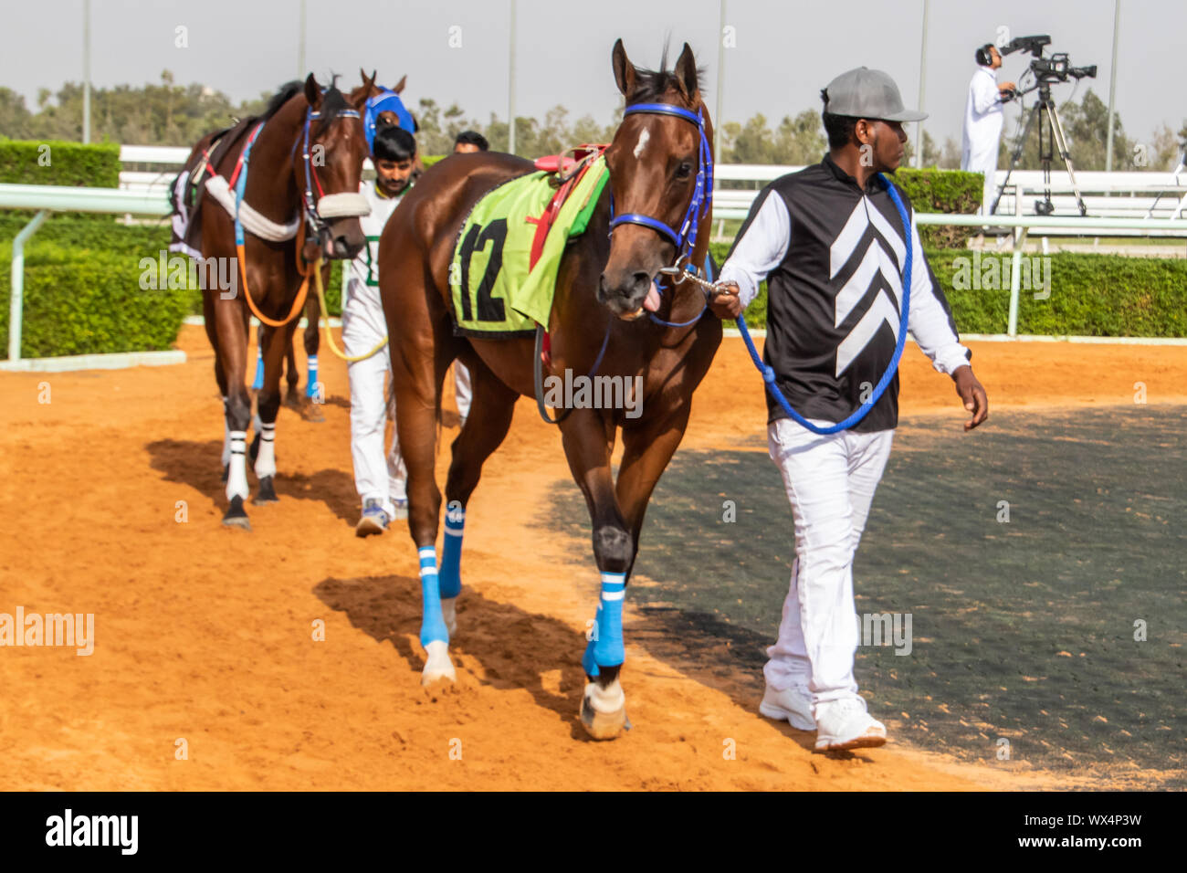 Horse Racing at King Khalid Racetrack, Taif, Saudi Arabia 28/06/2019 ...