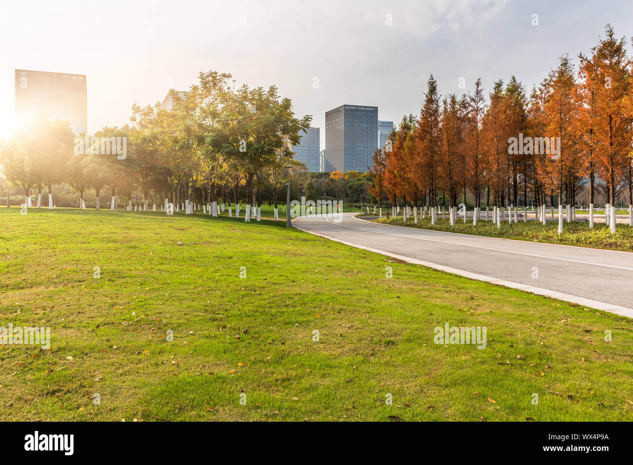 Green skyscraper hi-res stock photography and images - Alamy
