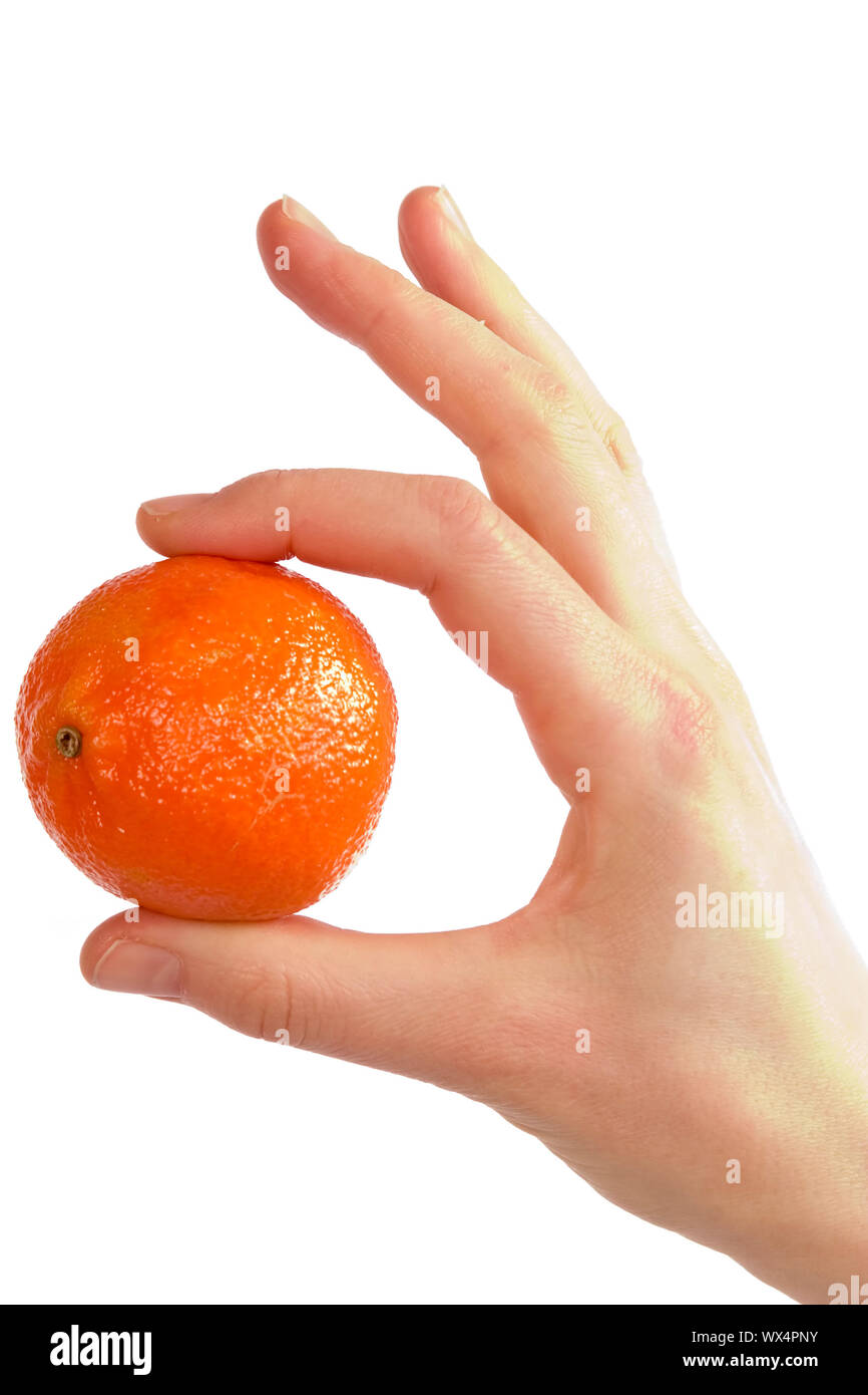 A womans hand holding a small christmas orange between her thunb and ...