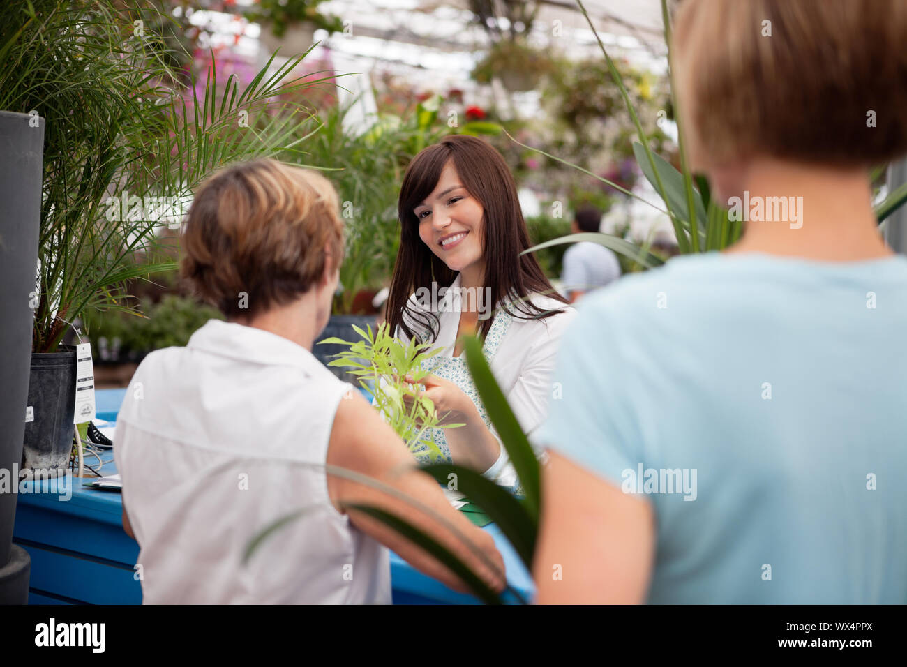 Customers at reception desk buying plants Stock Photo - Alamy