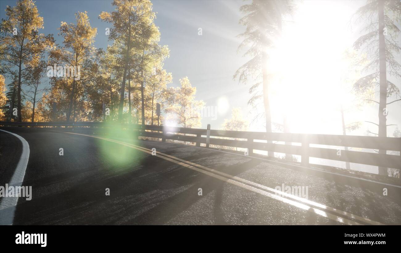 Camera Movement By Road In The Forest And The Sun Shining Through The ...