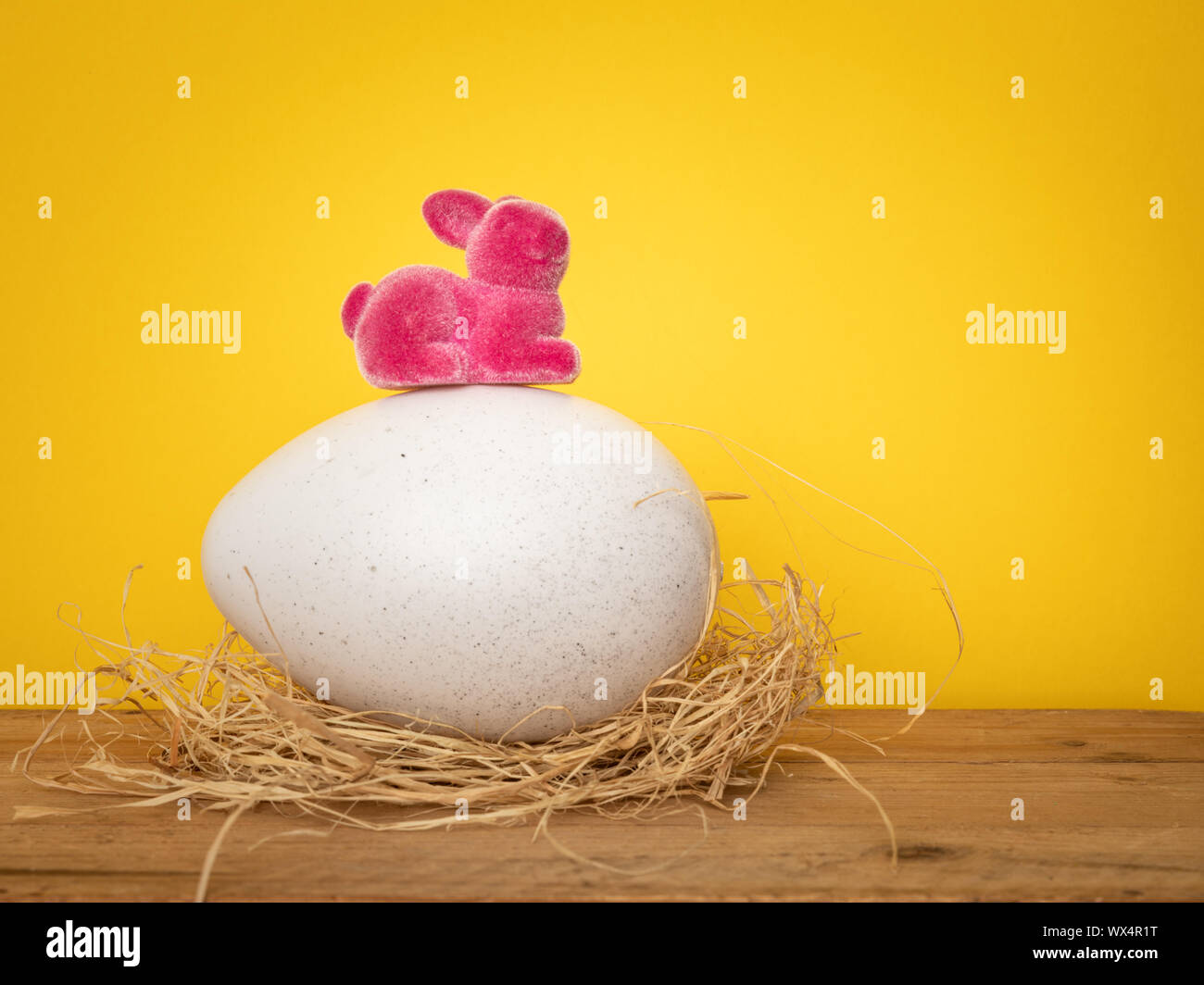 Big easter bunny hi-res stock photography and images - Alamy
