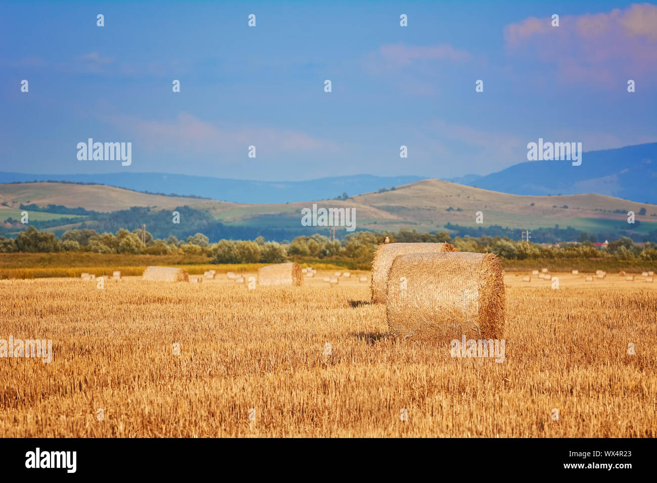 Hay rick hi-res stock photography and images - Alamy