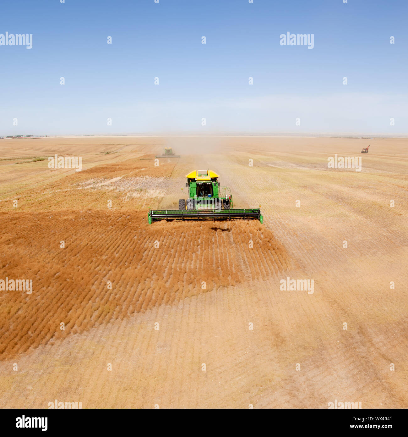 Lentil field hi-res stock photography and images - Alamy