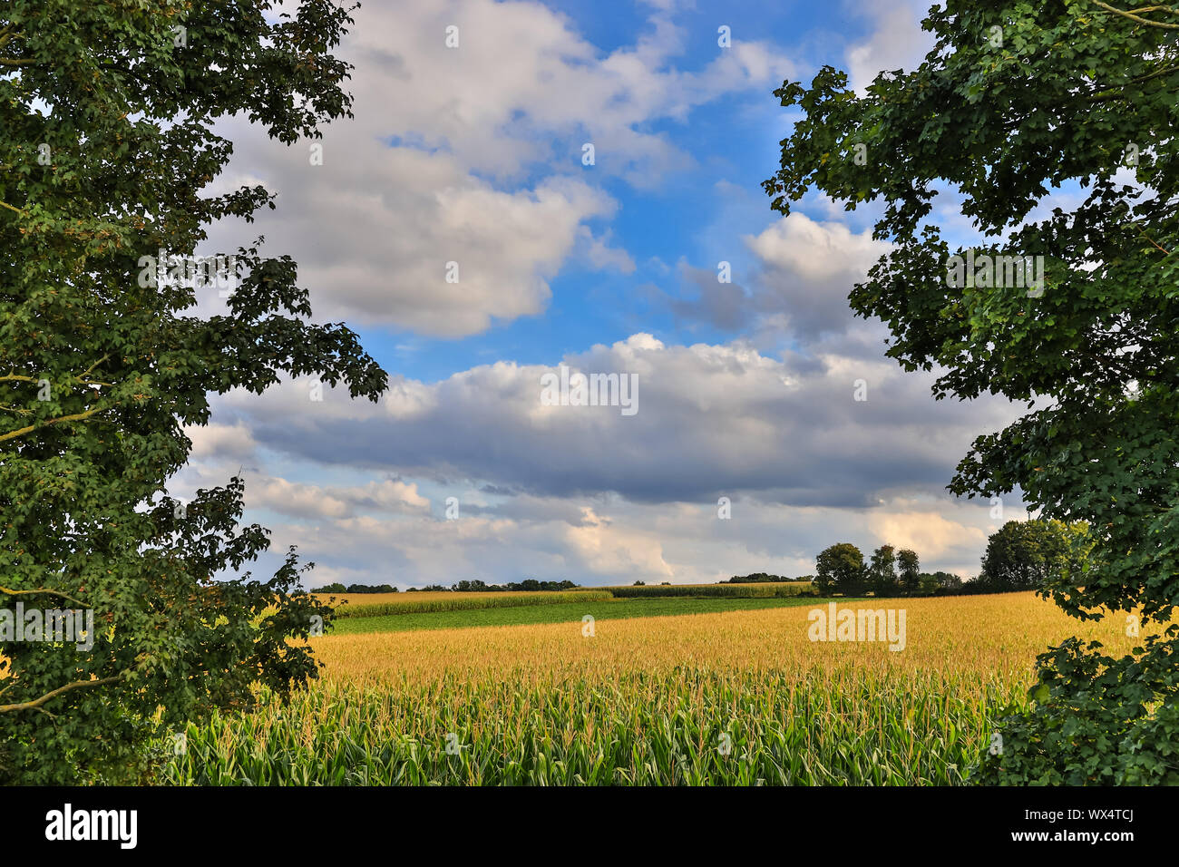 Countryscape hi-res stock photography and images - Alamy