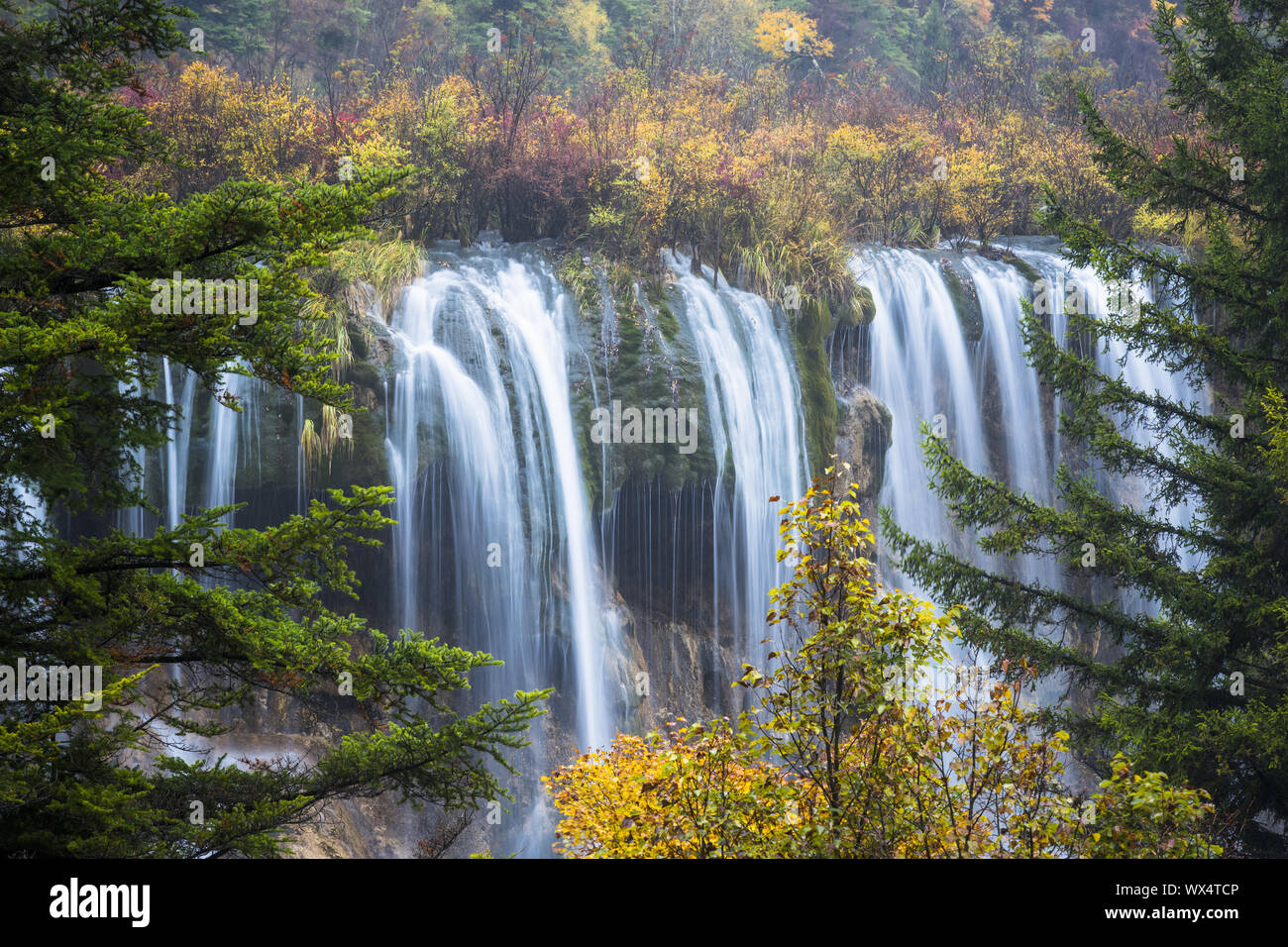 Waterfall red maple tree hi-res stock photography and images - Alamy