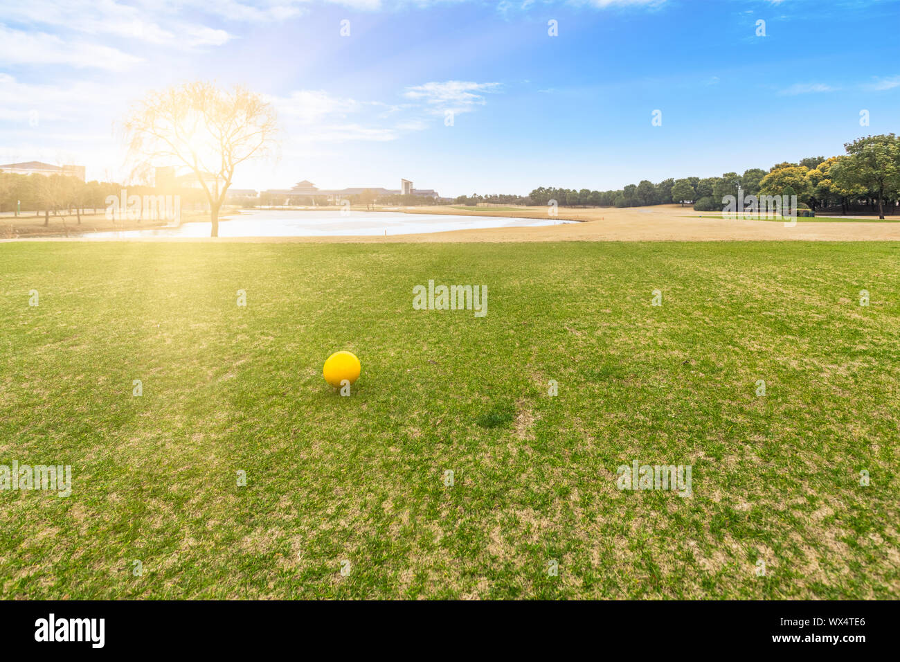Plant of course hi-res stock photography and images - Alamy