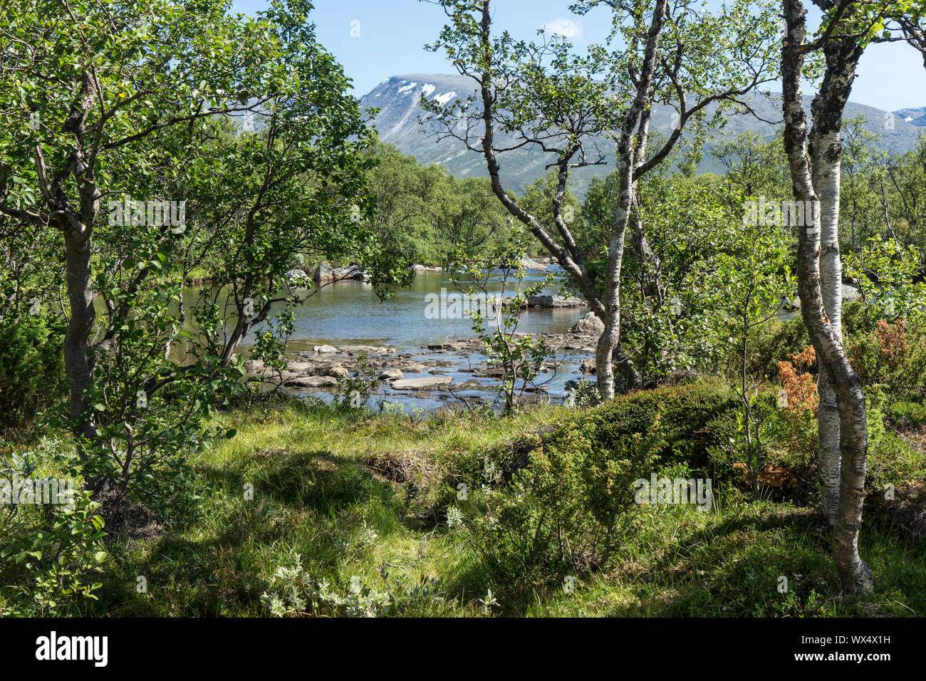 Creek near the Waterfalls at Åmotan in Sunndalen, Norway Stock Photo ...