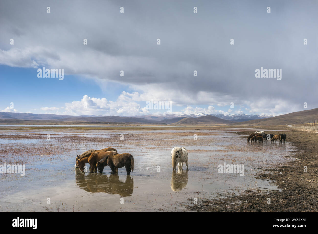 Tranquility landscape hi-res stock photography and images - Alamy