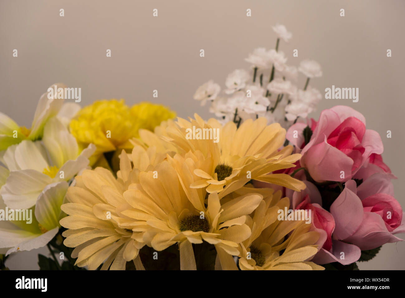 Extreme close up flowers hi-res stock photography and images - Alamy