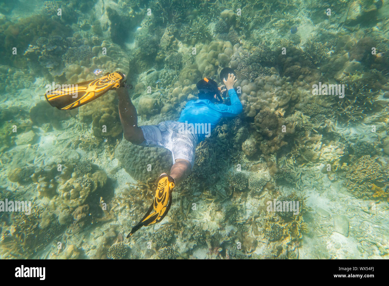Snorkeling scene hi-res stock photography and images - Alamy