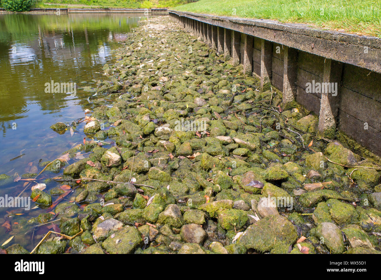 Urban pond hi-res stock photography and images - Alamy
