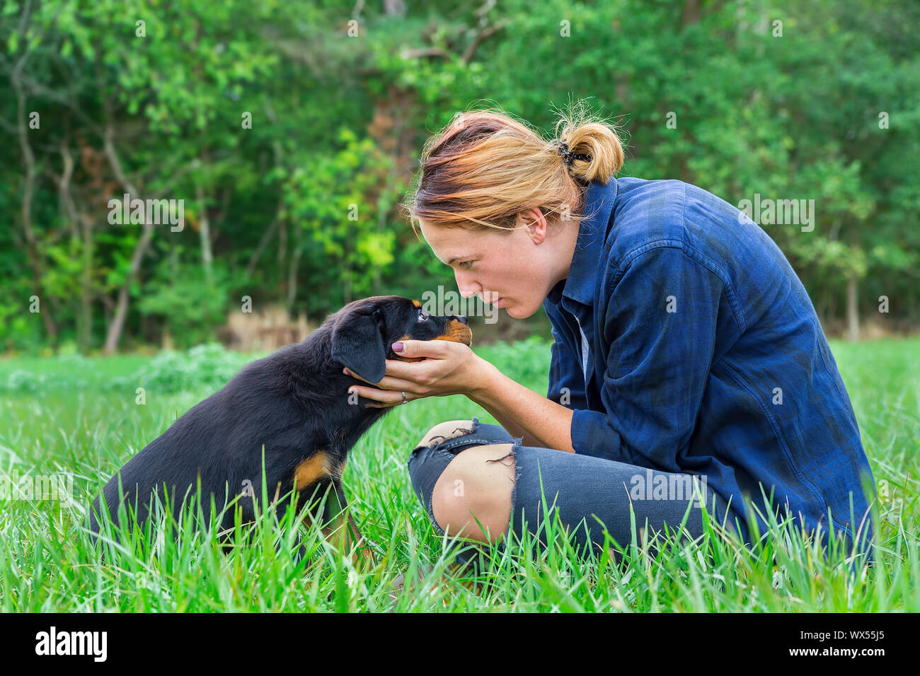 Rottweiler love hi-res stock photography and images - Alamy