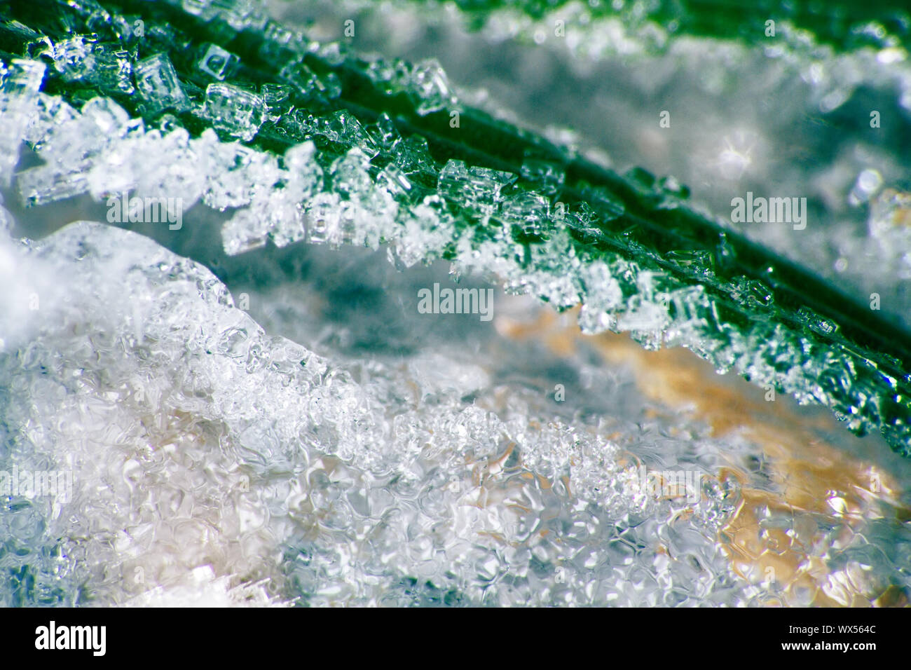 Unexpected frost hi-res stock photography and images - Alamy