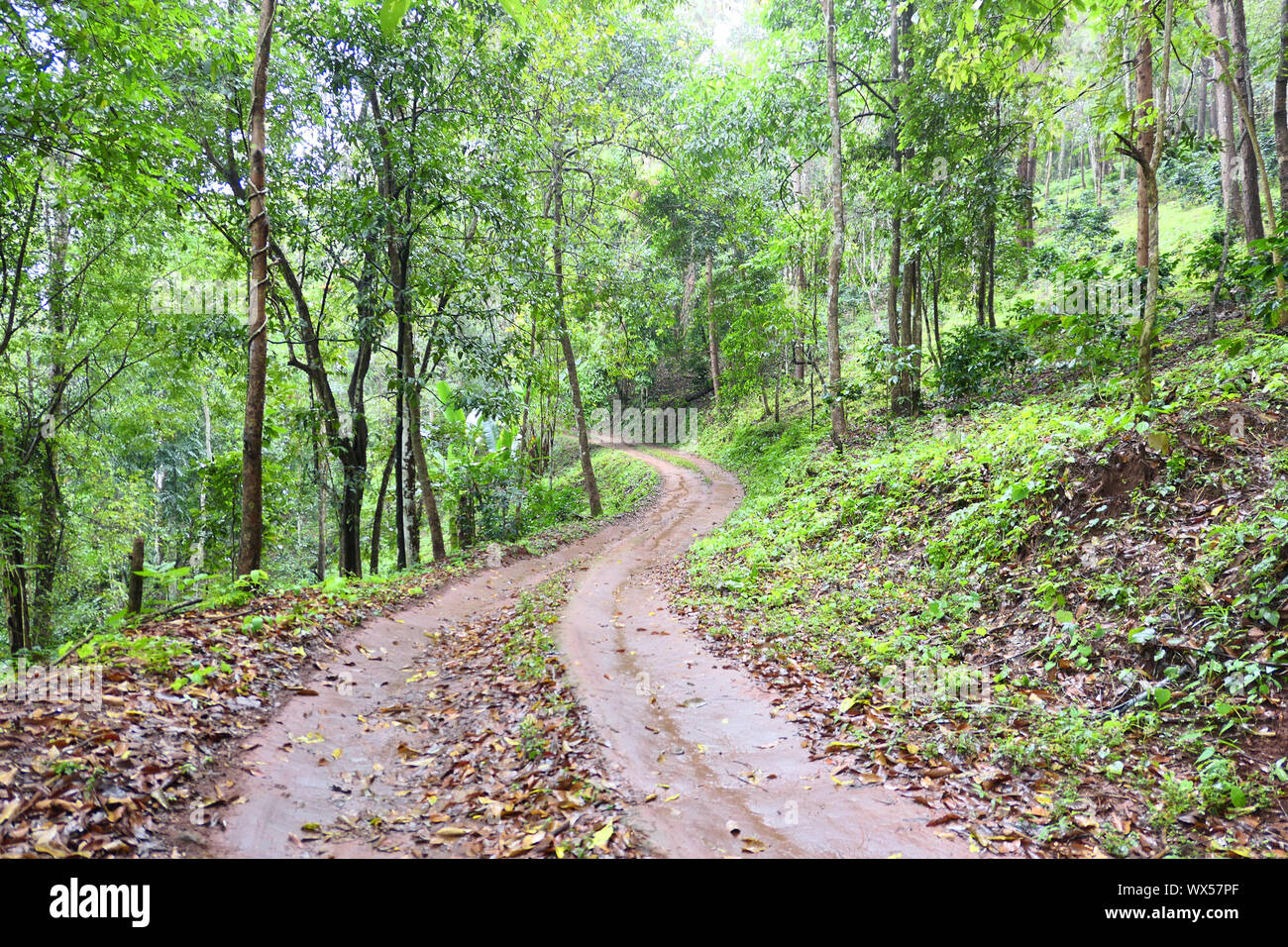 Earth road hi-res stock photography and images - Alamy