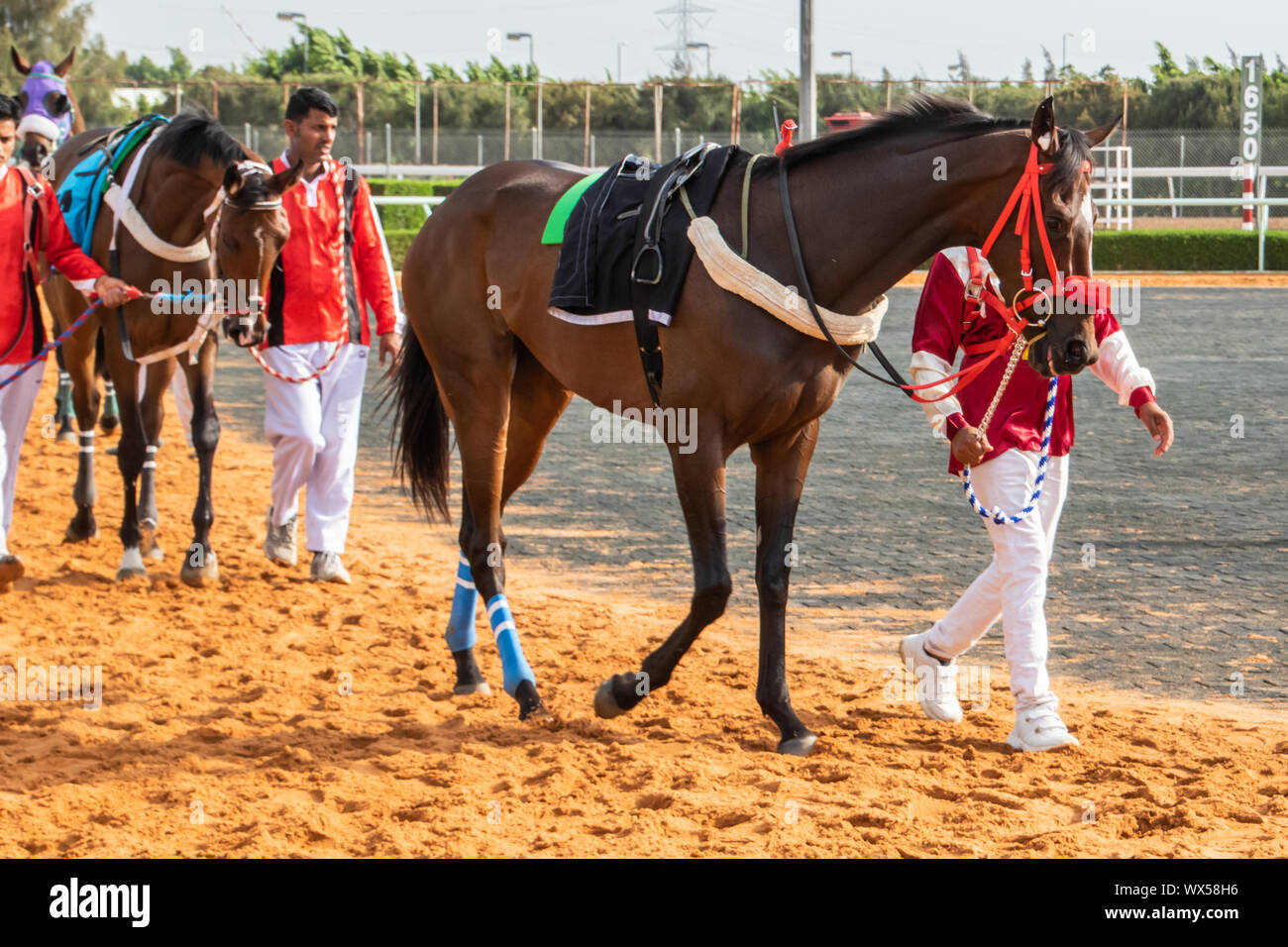 Horse Racing at King Khalid Racetrack, Taif, Saudi Arabia 28/06/2019 ...