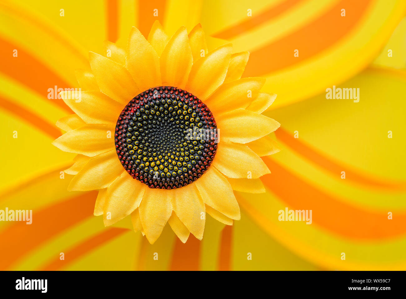 Sunflower fan hi-res stock photography and images - Alamy