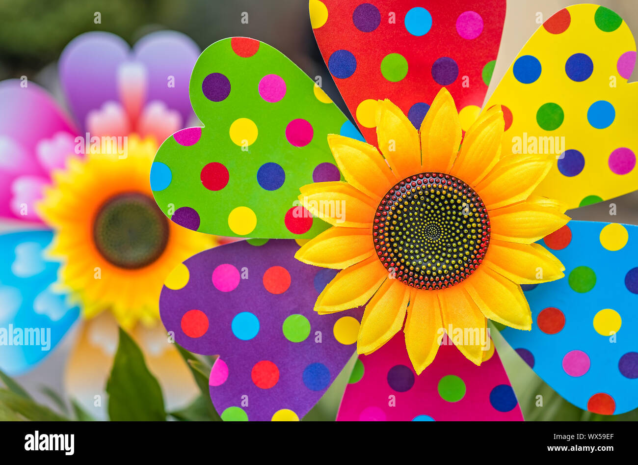 Colorful artificial decorative sunflower fan Stock Photo - Alamy