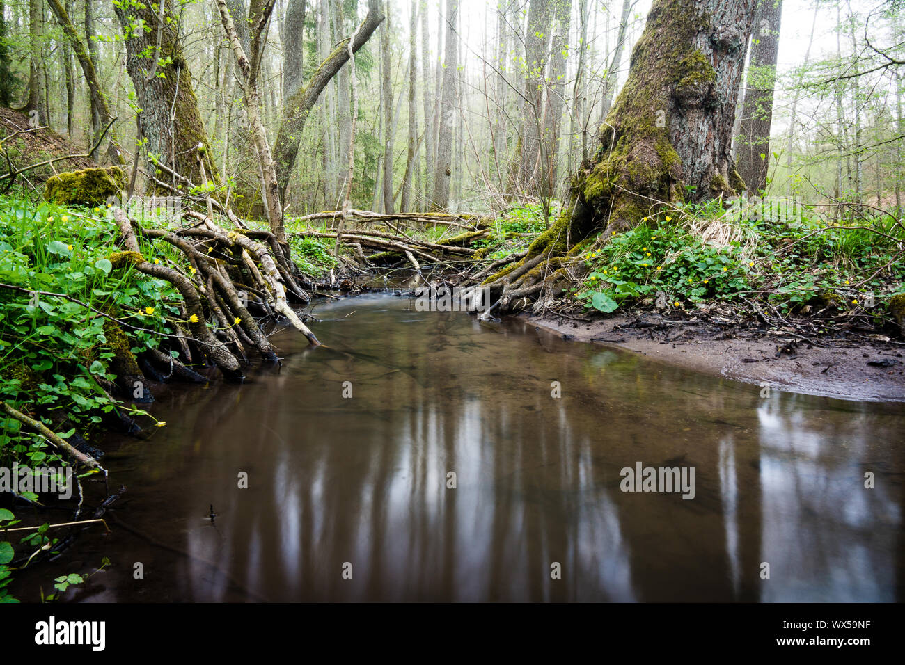Canyon meadow hi-res stock photography and images - Alamy