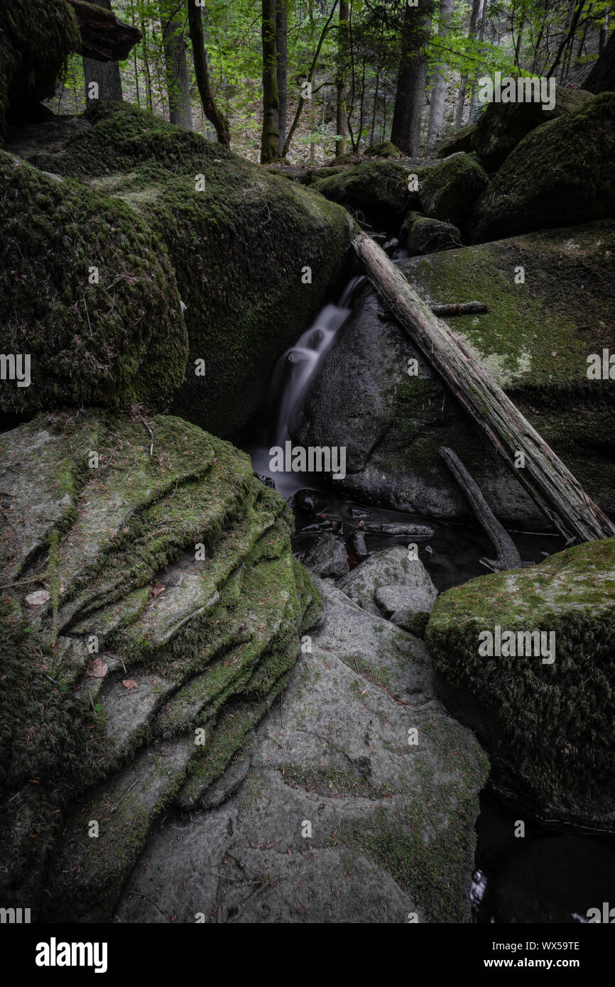 waterfall water stream in black forest Stock Photo - Alamy
