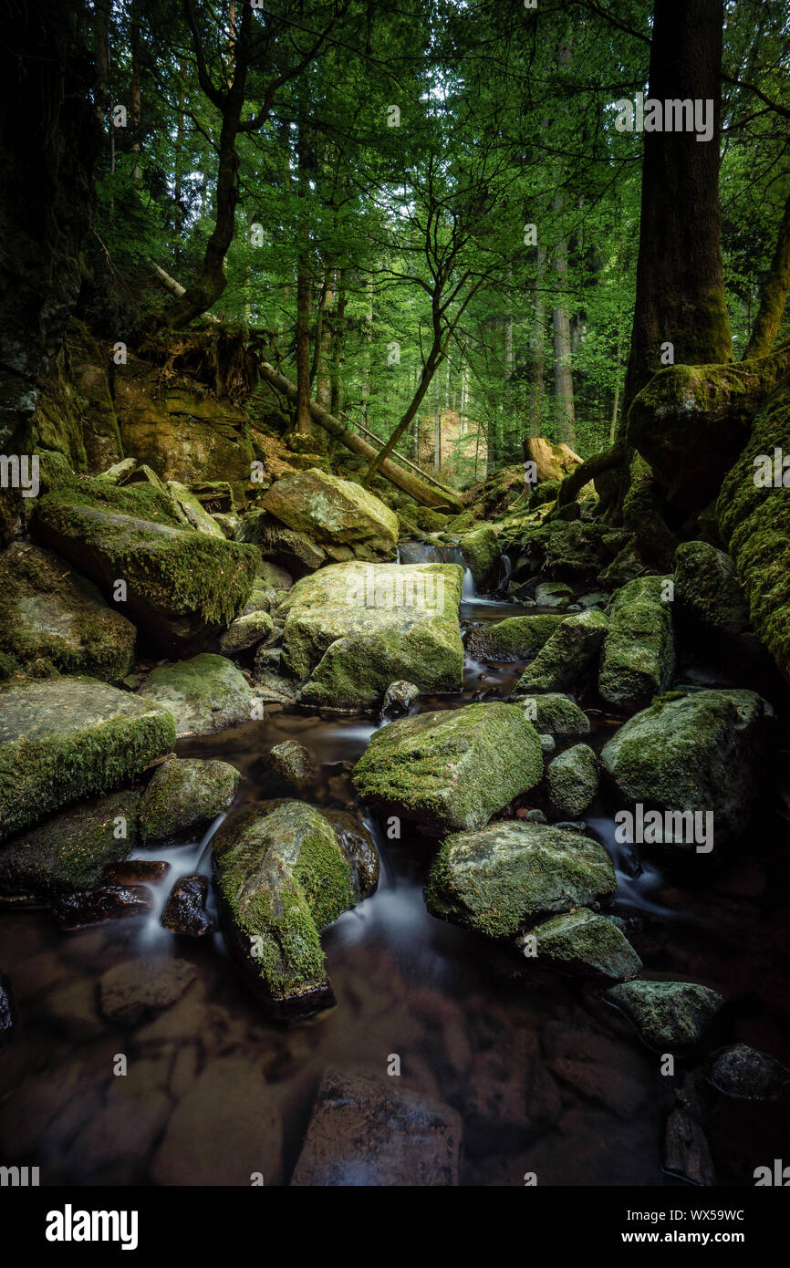 waterfall water stream in black forest Stock Photo - Alamy