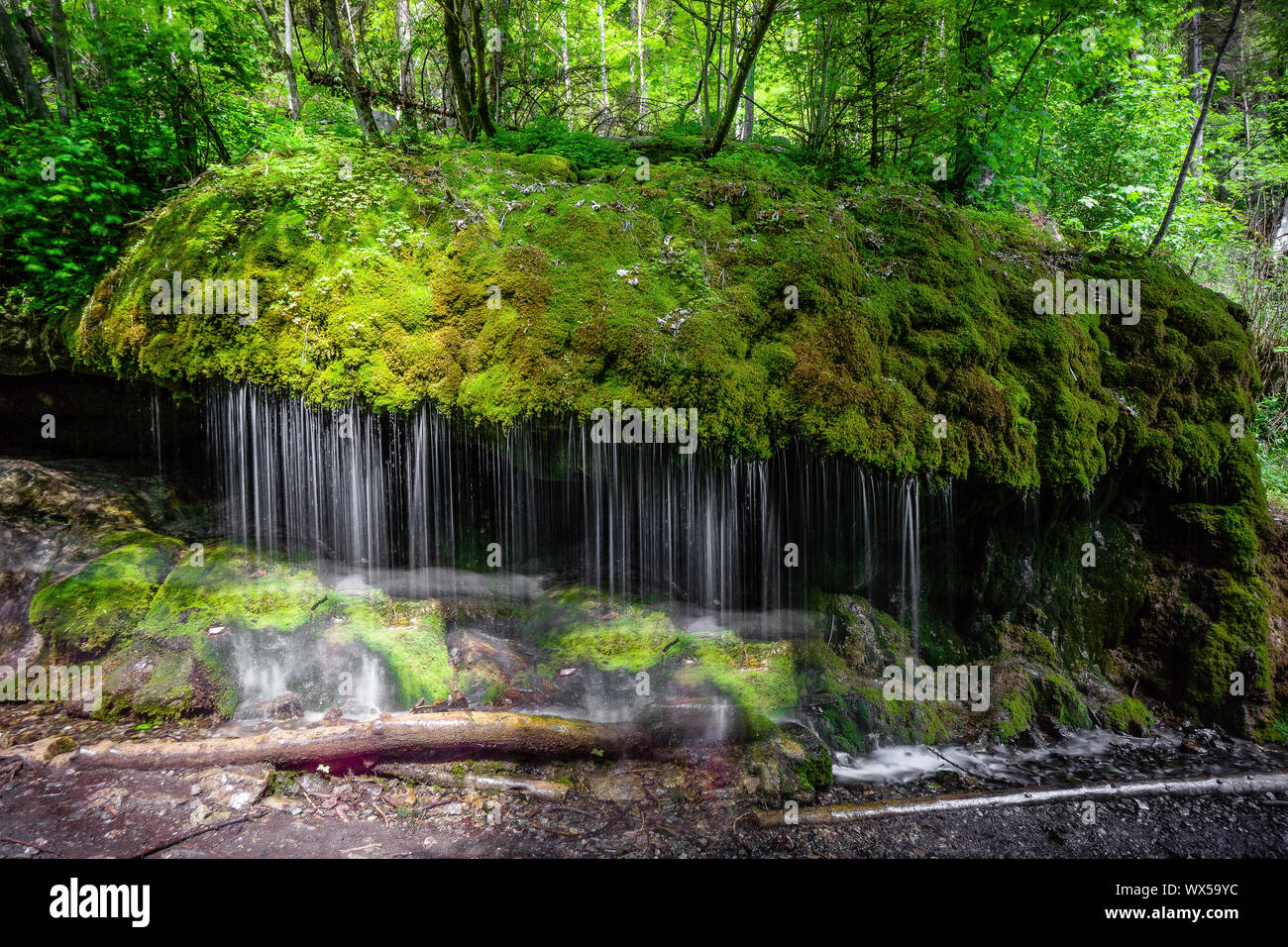 Smooth spring hi-res stock photography and images - Alamy