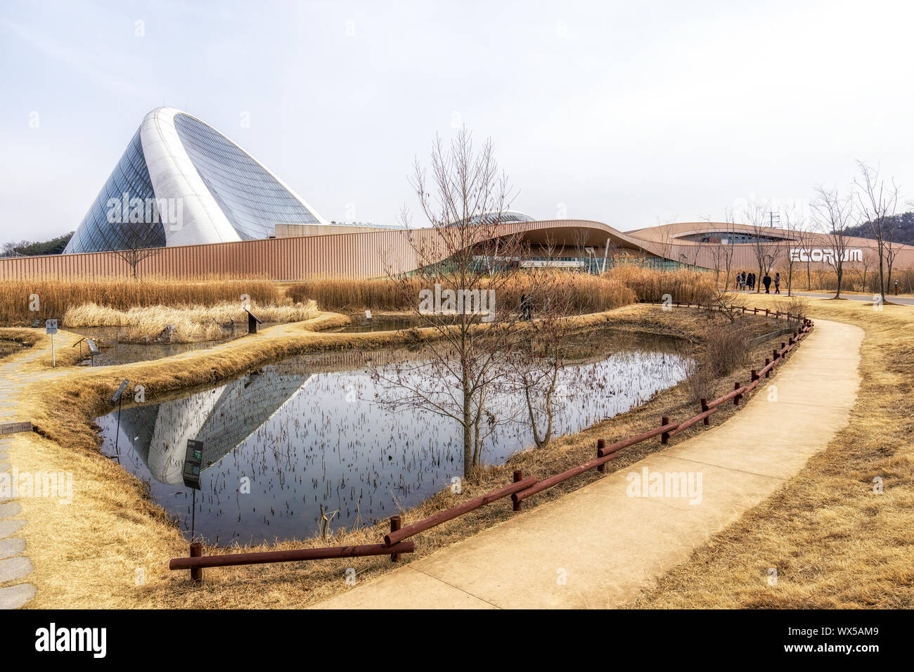 Ecorium hi-res stock photography and images - Alamy