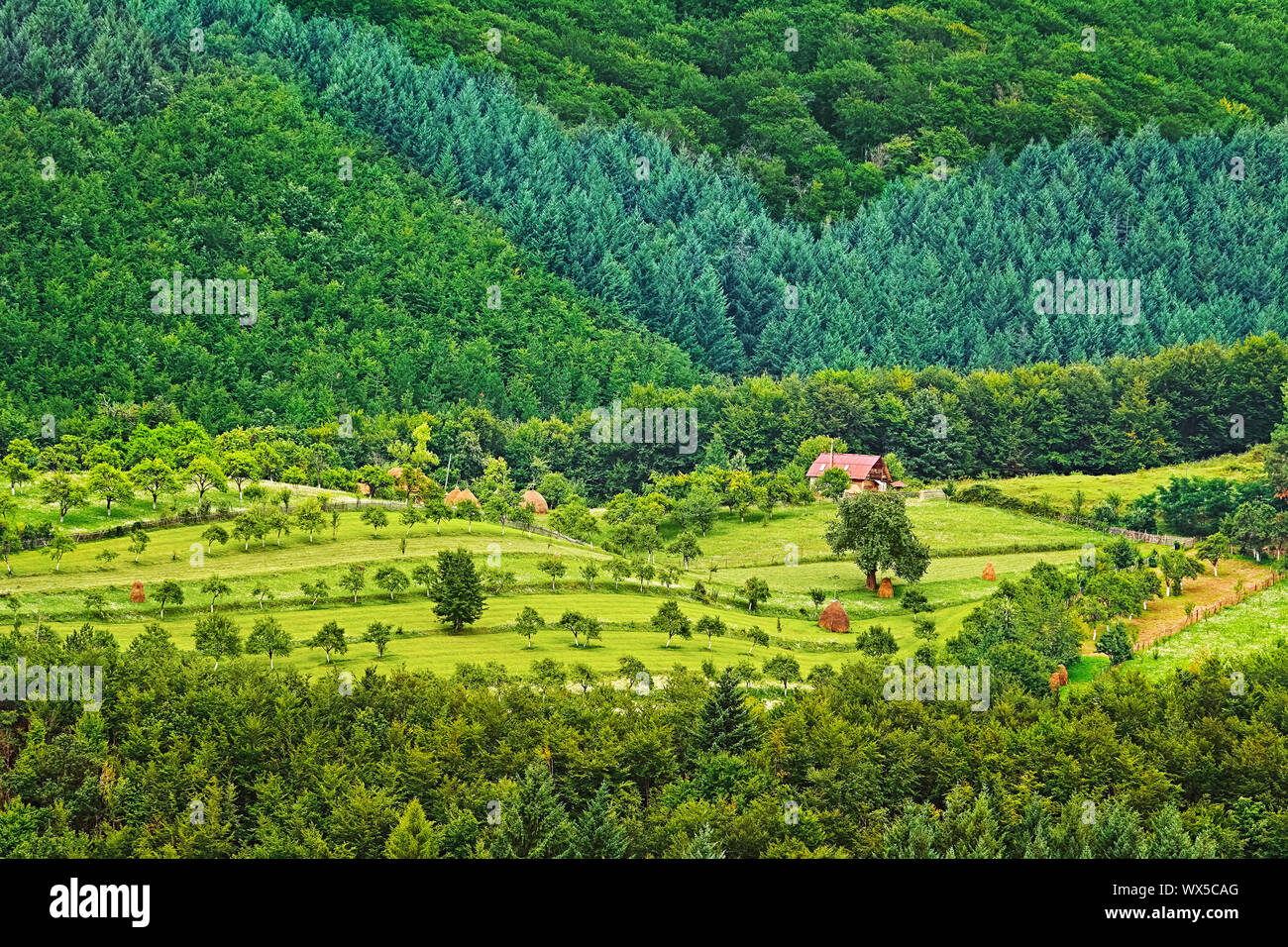 Agriculture field in Romania Stock Photo - Alamy