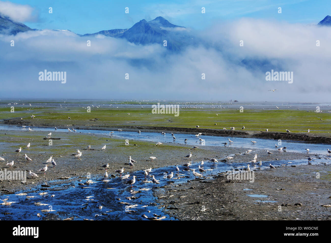 The northern regions of alaska hi-res stock photography and images - Alamy