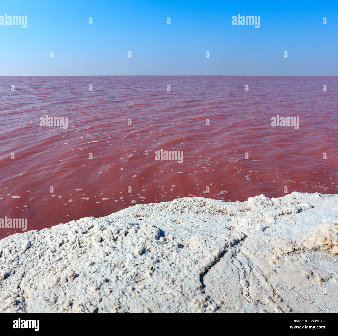 Pink salty Syvash Lake, Ukraine Stock Photo - Alamy