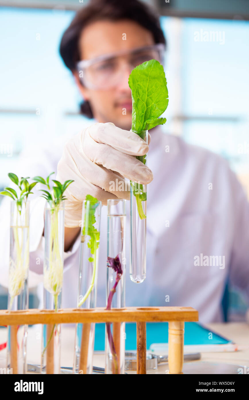 Male biotechnology scientist chemist working in the lab Stock Photo - Alamy