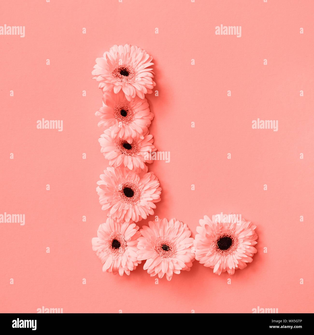Letter L made from flowers gerbera on a color background of the year ...