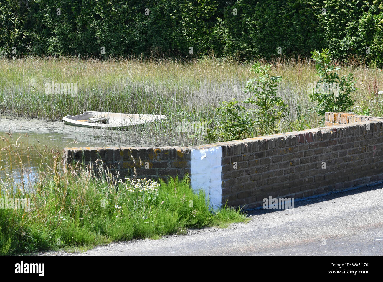 Cane brake hi-res stock photography and images - Alamy